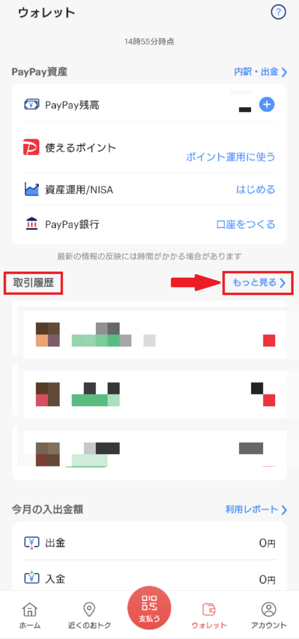 PayPayポイントを支払いに使う方法！使えない時はココを確認 | appsiru